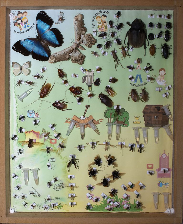 Exposição | Museu de Entomologia